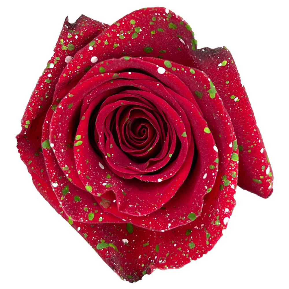 Christmas Red Konfetti Natuflor Christmas Red Konfetti Natuflor